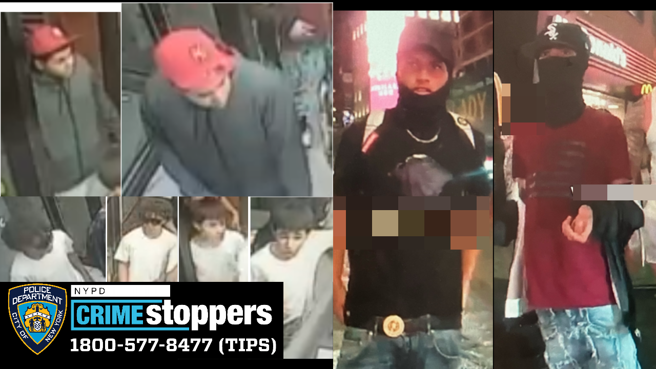 Nypd Seeks Assistance To Identify Suspects In Central Park Robbery