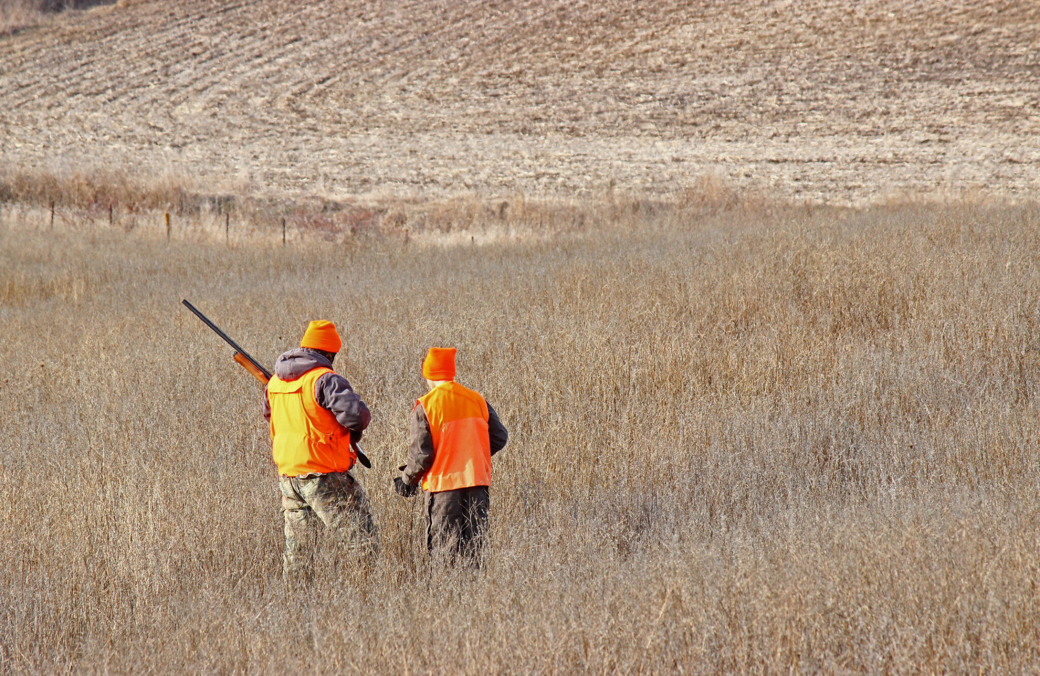 Shorter bear season, more Sunday hunts, and guaranteed antlerless tags ...