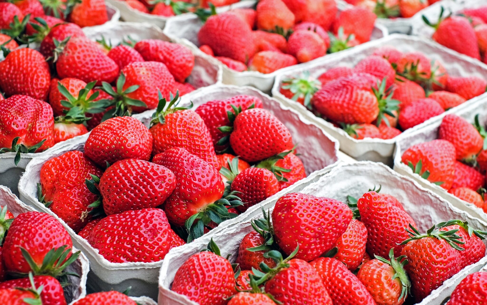 Peddler’s Village Strawberry Festival returns May 3–4 with food, fun ...