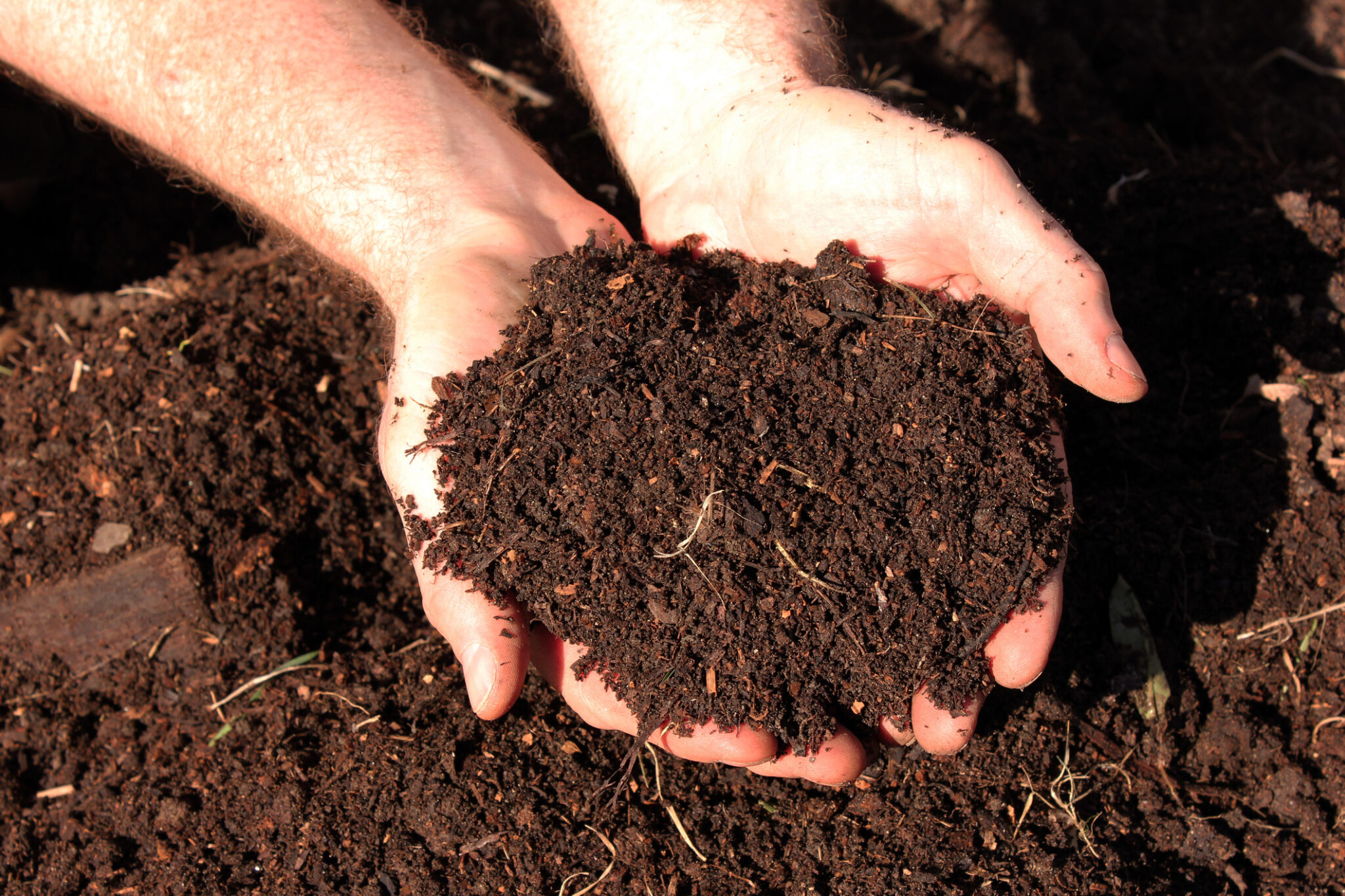 New Jersey pushes law to allow human composting facilities