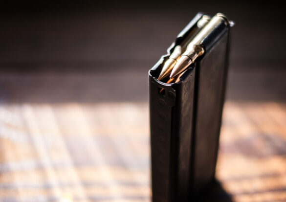Virginia lawmakers move to ban sales of assault firearms and 'large ...