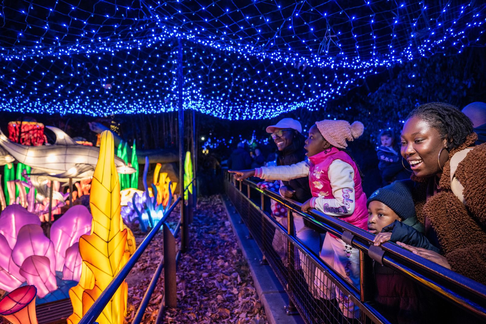 Bronx Zoo lights up the holidays with glowing wildlife displays and ...
