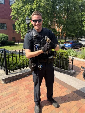 Prom crasher goes nuts as Syracuse cops take squirrel into custody